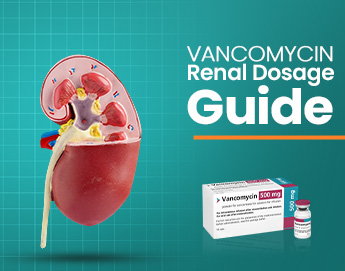 Renal Dosage Guide: Safe Drug Adjustments for CKD