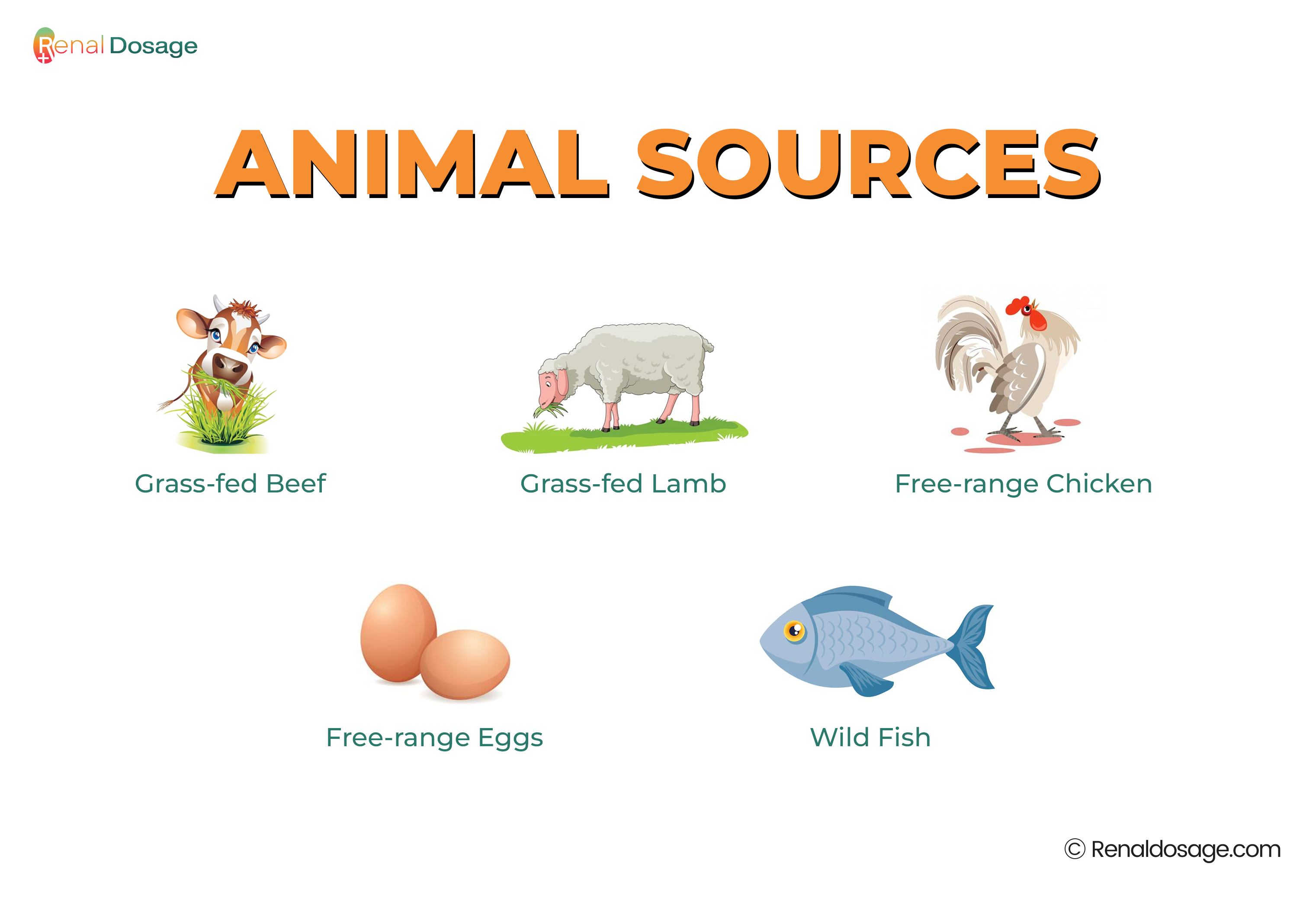 RenalDosage - Blog Details