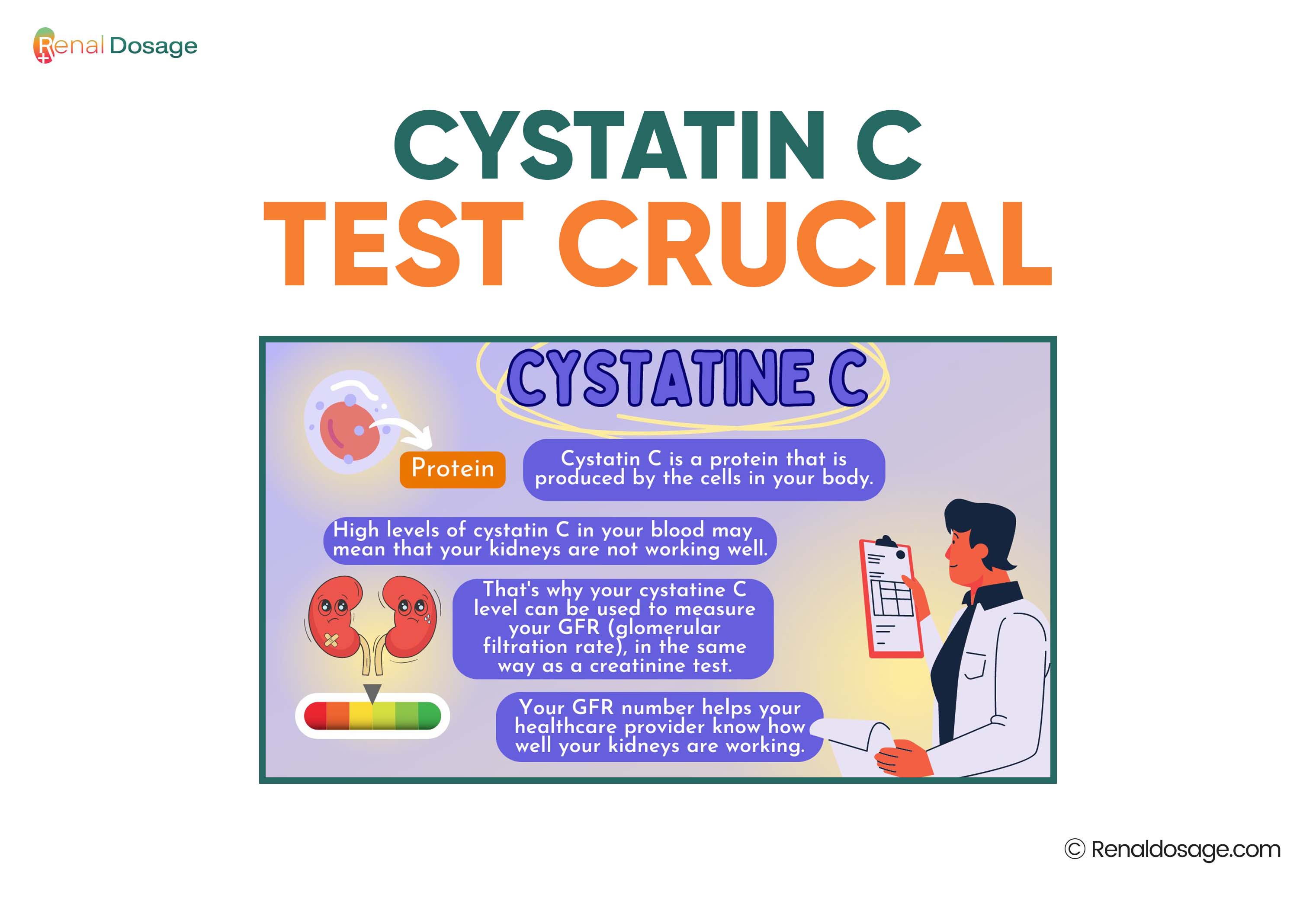 RenalDosage - Important Kidney Function Tests