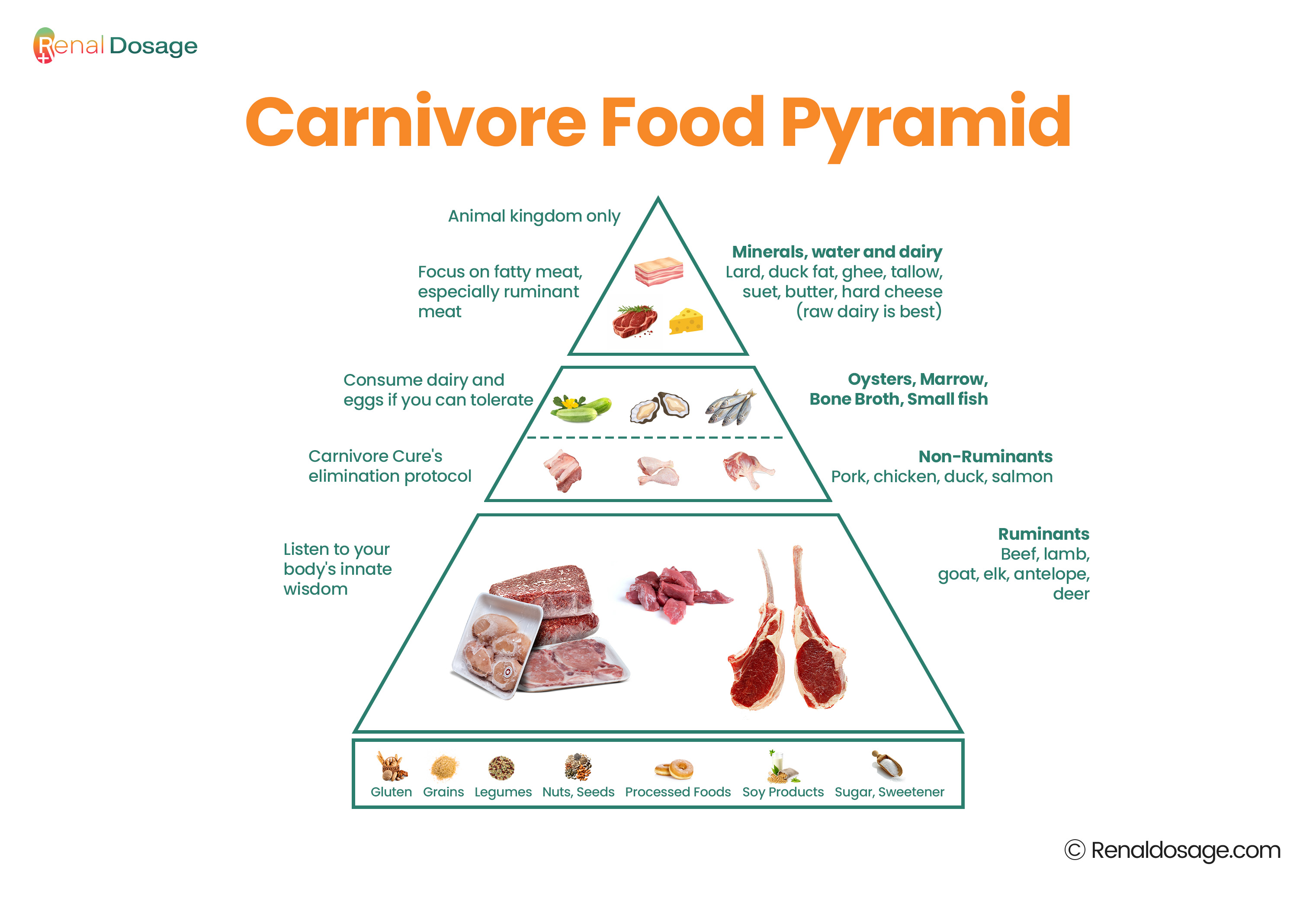 RenalDosage - Is the Carnivore Diet Bad for Kidney Stones?